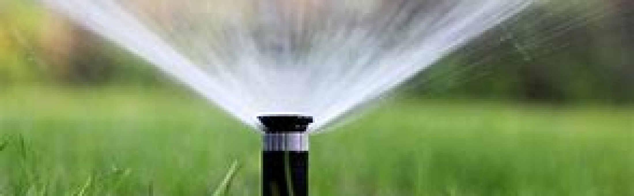 Reclaimed Water Customer Information – Fact Sheet – Dunes CDD